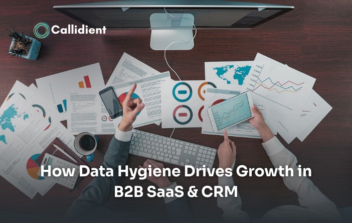 How Data Hygiene Drives Growth in B2B SaaS & CRM